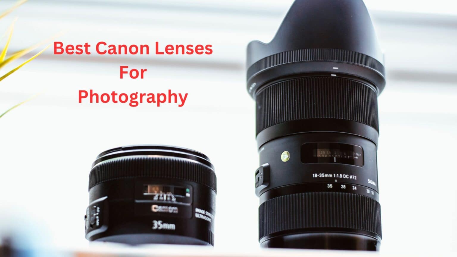 Lens Reviews Archives - Camera Lens Hub